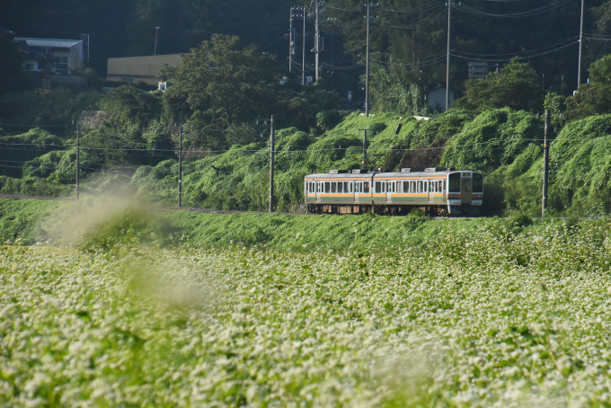 JR東海 国鉄213系電車 クハ212-5014 伊那新町駅 鉄道フォト・写真 by おなだいさん | レイルラボ(RailLab)