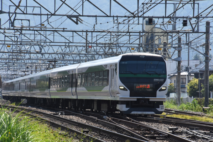 JR東日本E257系電車 あずさ クハE256-5007 塩尻駅 鉄道フォト・写真 by おなだいさん | レイルラボ(RailLab)