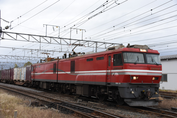 JR貨物EH800形電気機関車 EH800-8 五稜郭駅 (JR) 鉄道フォト・写真 by おなだいさん | レイルラボ(RailLab)