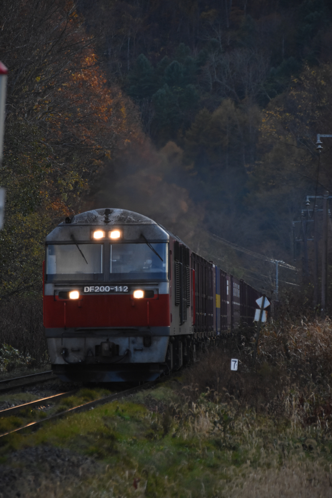 JR貨物 DF200形ディーゼル機関車 DF200-112 大沼駅 (北海道) 鉄道フォト・写真 by おなだいさん | レイルラボ(RailLab)