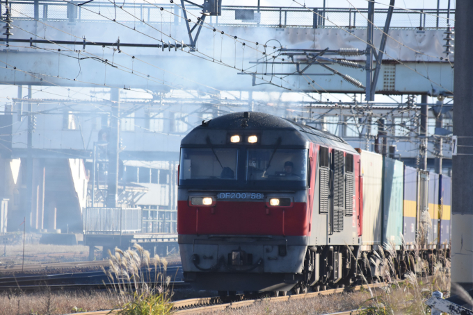 JR貨物 DF200形ディーゼル機関車 DF200-58 五稜郭駅 (JR) 鉄道フォト・写真 by おなだいさん | レイルラボ(RailLab)