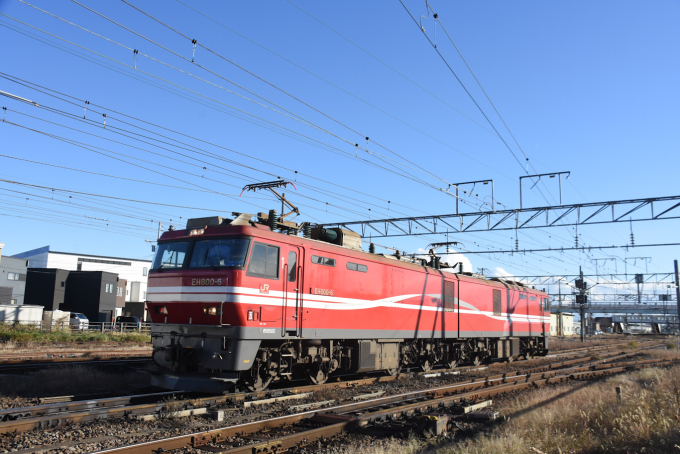 JR貨物EH800形電気機関車 EH800-6 五稜郭駅 (JR) 鉄道フォト・写真 by おなだいさん | レイルラボ(RailLab)