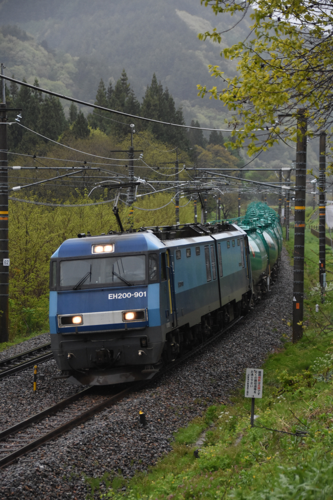 JR貨物EH200形電気機関車 EH200-901 日出塩駅 鉄道フォト・写真 by おなだいさん | レイルラボ(RailLab)