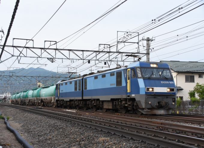 JR貨物EH200形電気機関車 EH200-901 塩尻駅 鉄道フォト・写真 by おなだいさん | レイルラボ(RailLab)
