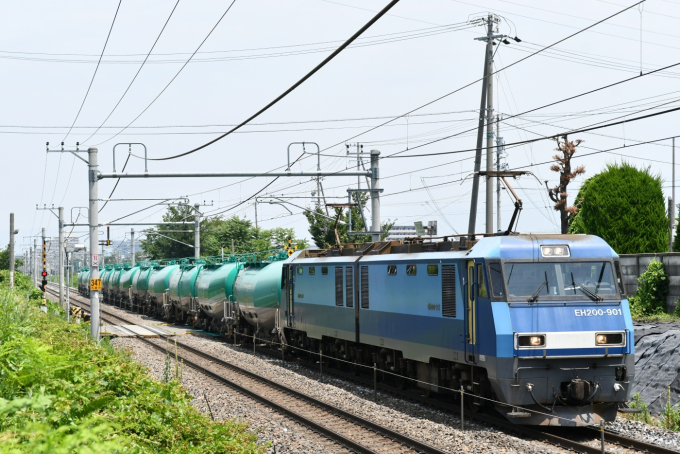 JR貨物EH200形電気機関車 EH200-901 広丘駅 鉄道フォト・写真 by おなだいさん | レイルラボ(RailLab)
