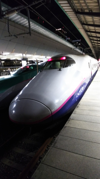 JR東日本 E223-1009 (E2系新幹線) 車両ガイド | レイルラボ(RailLab)