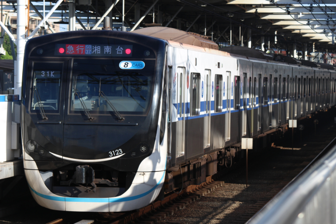 東急電鉄 東急3020系電車 3123 多摩川駅 鉄道フォト・写真 by 712Aさん | レイルラボ(RailLab)
