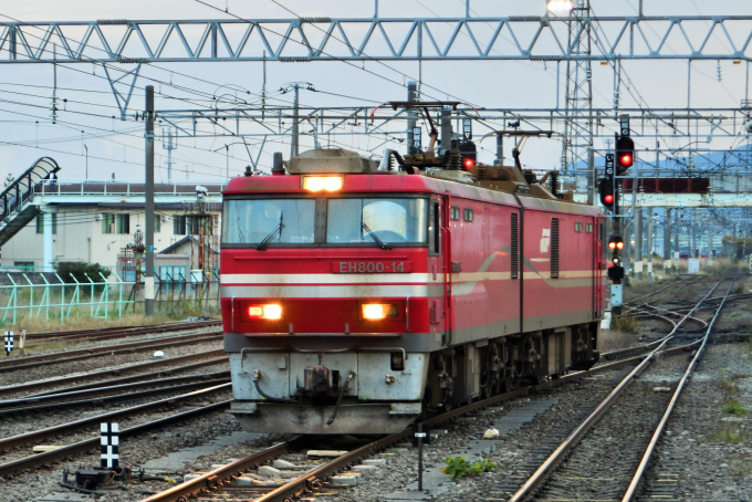 JR貨物EH800形電気機関車 EH800-14 五稜郭駅 (JR) 鉄道フォト・写真 by papaさん | レイルラボ(RailLab)