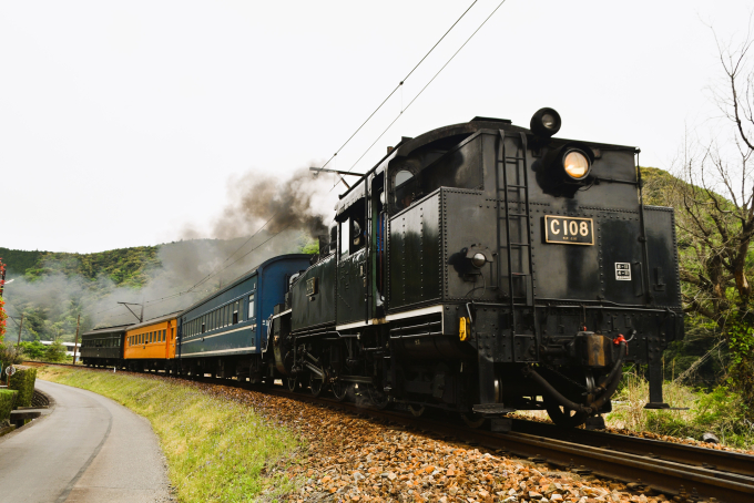 大井川鐵道 国鉄C10形蒸気機関車 SL南アルプス C10 8 福用駅 鉄道フォト・写真 by papaさん | レイルラボ(RailLab)