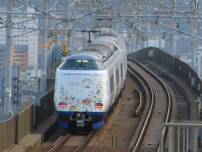 JR西日本271系電車 はるか クモハ271-4 りんくうタウン駅 (JR) 鉄道フォト・写真 by kinokuniさん | レイルラボ ...