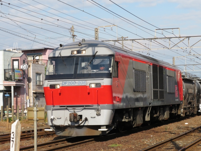 JR貨物 DF200形ディーゼル機関車 DF200-205 四日市駅 鉄道フォト・写真 by kinokuniさん | レイルラボ(RailLab)