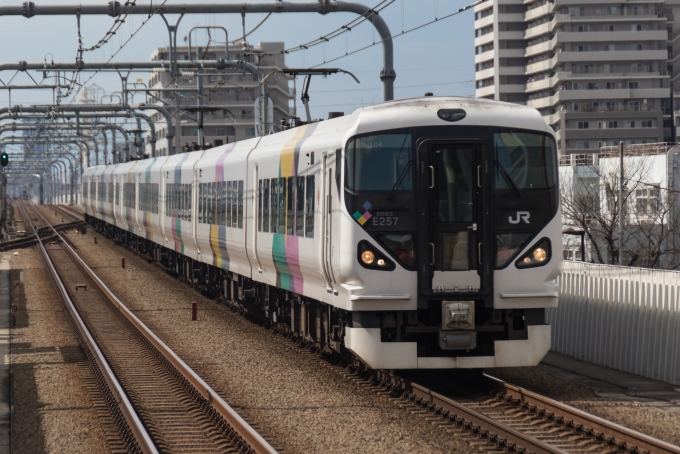 JR東日本E257系電車 かいじ クハE257-104 武蔵境駅 (JR) 鉄道フォト・写真 by shingenさん | レイルラボ(RailLab)