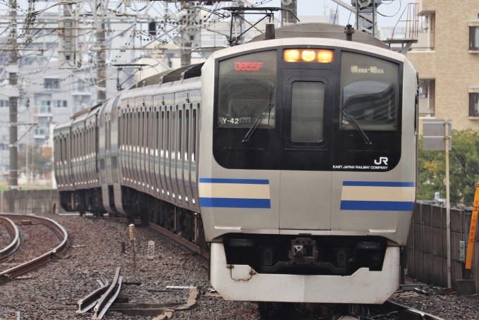 JR東日本E217系電車 クハE217-42 市川駅 鉄道フォト・写真 by BOEING737MAX-8さん | レイルラボ(RailLab)