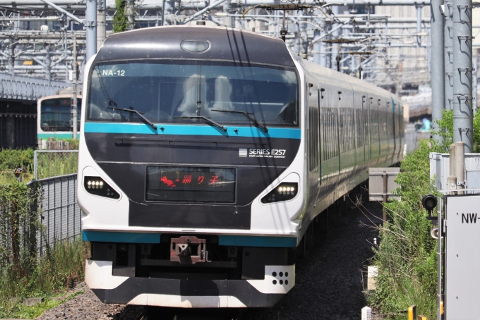 JR東日本E257系電車 踊り子 クハE256-2015 品川駅 (JR) 鉄道フォト・写真 by BOEING737MAX-8さん ...