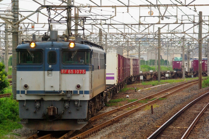 JR貨物 国鉄EF65形電気機関車 EF65-1075 新川崎駅 鉄道フォト・写真 by ちっとろむさん | レイルラボ(RailLab)