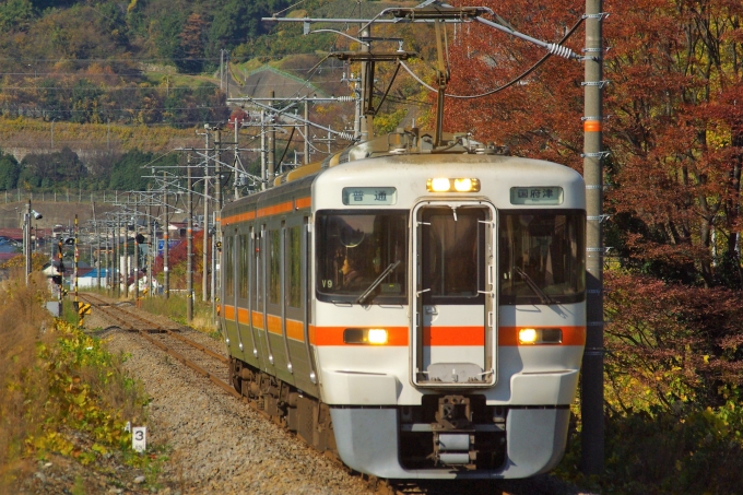 JR東海313系電車 クモハ313-3009 東山北駅 鉄道フォト・写真 by ちっとろむさん | レイルラボ(RailLab)