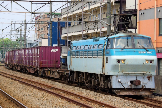 JR貨物 国鉄EF66形電気機関車 EF66-104 西国分寺駅 鉄道フォト・写真 by ちっとろむさん | レイルラボ(RailLab)