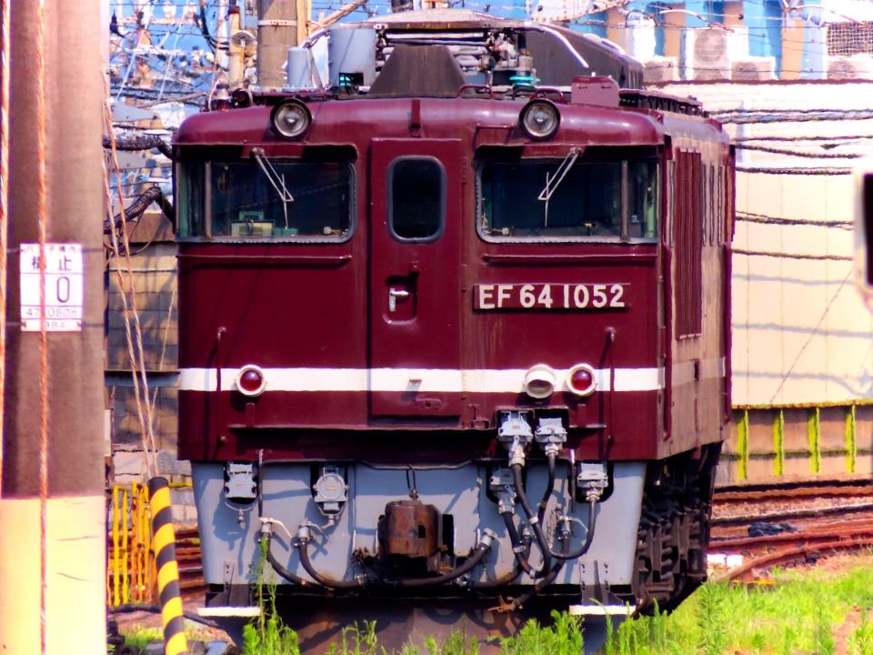 JR東日本 国鉄EF64形電気機関車 EF64-1052 八王子駅 鉄道フォト・写真(拡大) by OER fanさん | レイルラボ(RailLab)