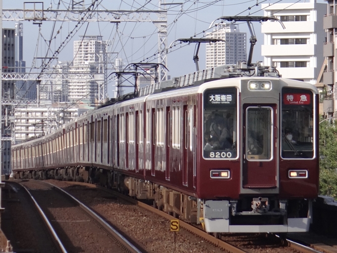 阪急電鉄 阪急8200系電車 8200 王子公園駅 鉄道フォト・写真 by Ruka *⋆̩さん | レイルラボ(RailLab)