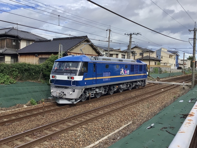 JR貨物EF210形電気機関車 EF210-333 大久保駅 (兵庫県) 鉄道フォト・写真 by てばどめさん | レイルラボ(RailLab)