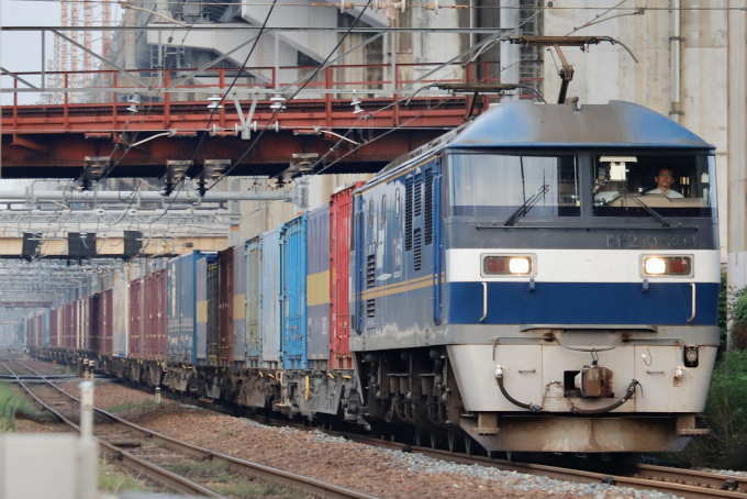 JR貨物EF210形電気機関車 EF210-304 十三駅 鉄道フォト・写真 by てばどめさん | レイルラボ(RailLab)