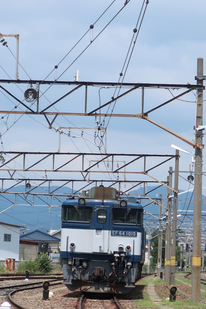 JR貨物 国鉄EF64形電気機関車 EF64-1015 南松本駅 鉄道フォト・写真 by つんまっさん | レイルラボ(RailLab)