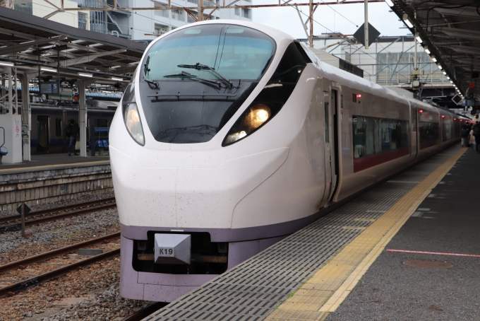 JR東日本E657系電車 ときわ クハE657-19 水戸駅 (JR) 鉄道フォト・写真 by フレッシュマリオさん | レイルラボ(RailLab)
