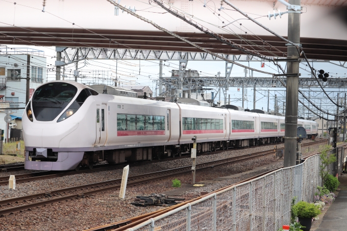 JR東日本E657系電車 ときわ クハE656-14 水戸駅 (JR) 鉄道フォト・写真 by フレッシュマリオさん | レイルラボ(RailLab)