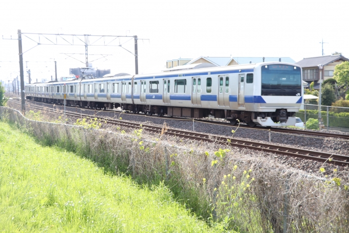 JR東日本E531系電車 クハE531-1033 水戸駅 (JR) 鉄道フォト・写真 by フレッシュマリオさん | レイルラボ(RailLab)