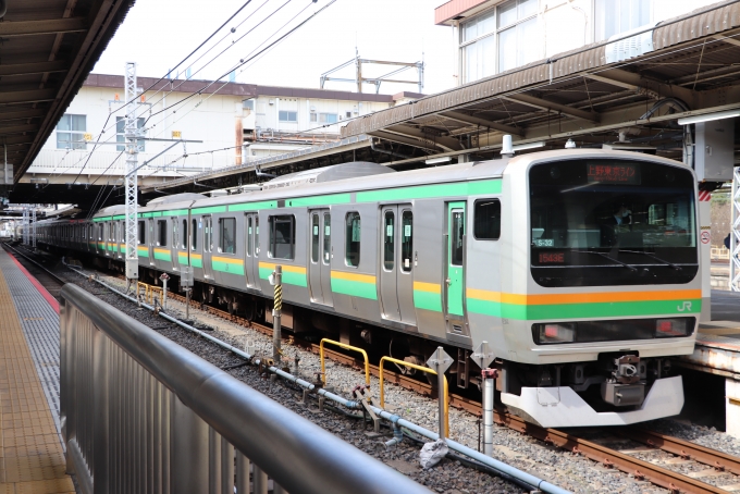 JR東日本E231系電車 クハE231-8060 上野駅 (JR) 鉄道フォト・写真 by フレッシュマリオさん | レイルラボ(RailLab)