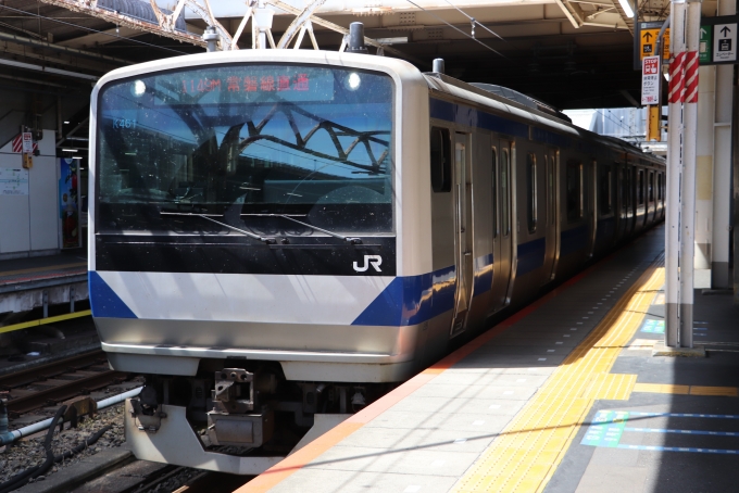JR東日本E531系電車 クハE531-1011 上野駅 (JR) 鉄道フォト・写真 by フレッシュマリオさん | レイルラボ(RailLab)
