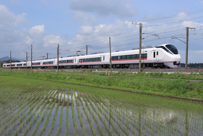 JR東日本E657系電車 ときわ クハE657-2 友部駅 鉄道フォト・写真 by フレッシュマリオさん | レイルラボ(RailLab)