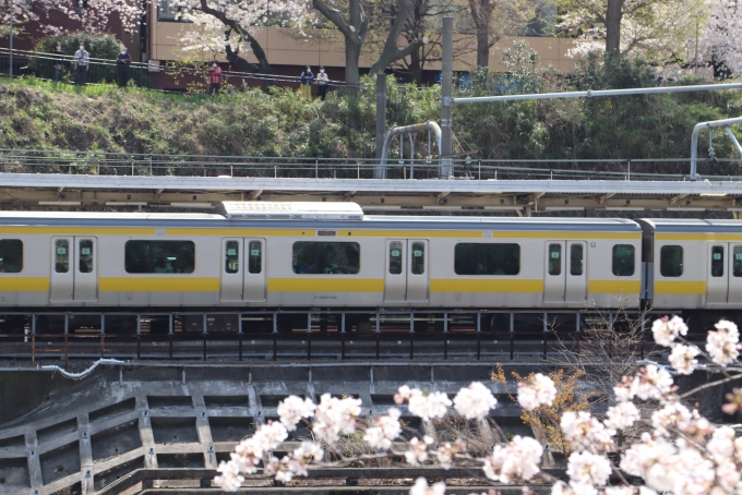 JR東日本 サハE231-536 (E231系) 車両ガイド | レイルラボ(RailLab)