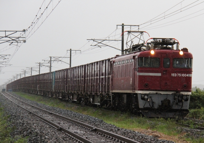 JR貨物 国鉄ED75形電気機関車 ED75 1004 四ツ倉駅 鉄道フォト・写真 by Kazoo8021さん | レイルラボ(RailLab)