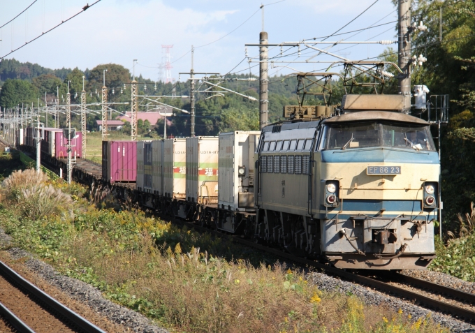JR貨物 国鉄EF66形電気機関車 ef66 23 蒲須坂駅 鉄道フォト・写真 by Kazoo8021さん | レイルラボ(RailLab)
