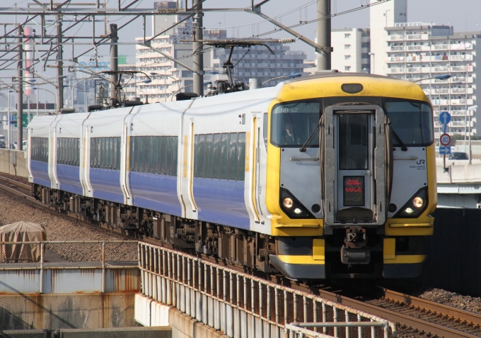 JR東日本E257系電車 わかしお クハE257-502 舞浜駅 鉄道フォト・写真(拡大) by Kazoo8021さん | レイルラボ ...