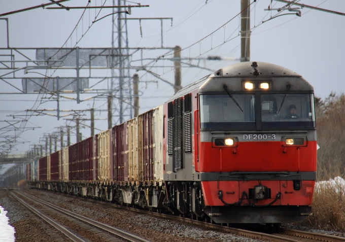 JR貨物 DF200形ディーゼル機関車 DF200-3 糸井駅 鉄道フォト・写真 by Kazoo8021さん | レイルラボ(RailLab)