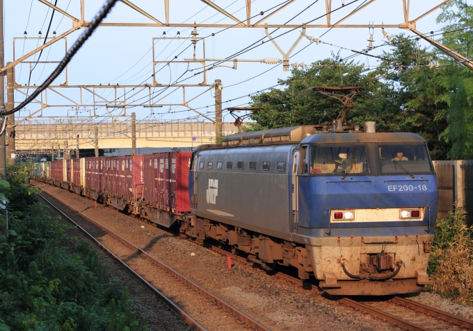 JR貨物EF200形電気機関車 EF200-8 羽沢横浜国大駅 鉄道フォト・写真 by Kazoo8021さん | レイルラボ(RailLab)