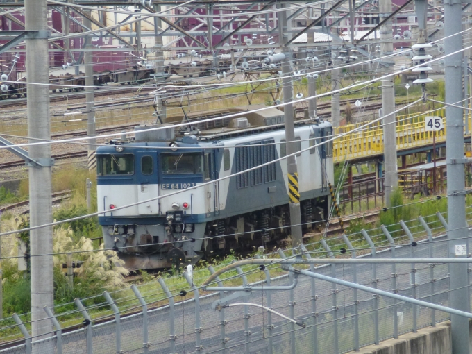 JR貨物 国鉄EF64形電気機関車 EF64 1027 北長野駅 鉄道フォト・写真 by 急行「志賀」さん | レイルラボ(RailLab)