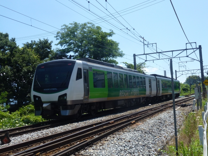 JR東日本HB-E300系気動車 HB-E300系 姨捨駅 鉄道フォト・写真 by 急行「志賀」さん | レイルラボ(RailLab)