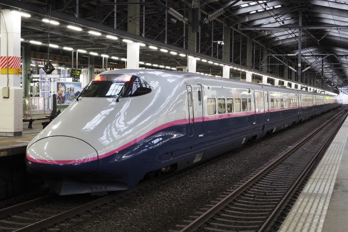 JR東日本 E2系新幹線電車 E223-1022 新潟駅 鉄道フォト・写真 by わんべあさん | レイルラボ(RailLab)
