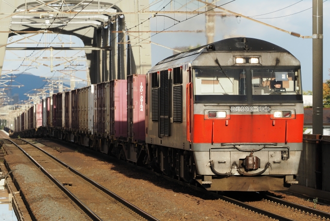 JR貨物 DF200形ディーゼル機関車 DF200-104 新札幌駅 鉄道フォト・写真 by わんべあさん | レイルラボ(RailLab)