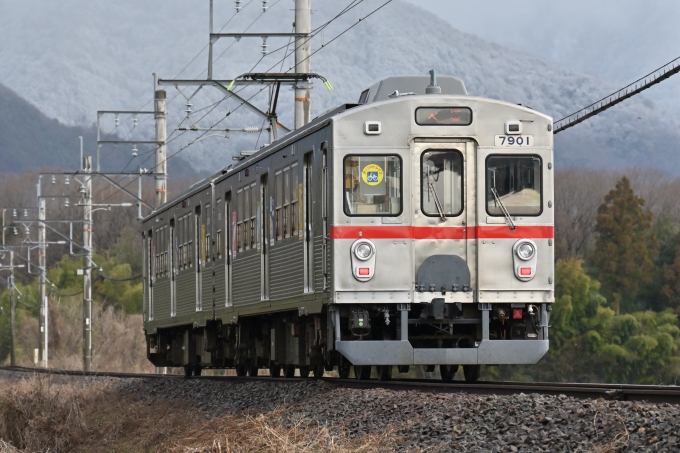 養老鉄道 7700形 ク7901 美濃津屋駅 鉄道フォト・写真 by ポン太さん | レイルラボ(RailLab)