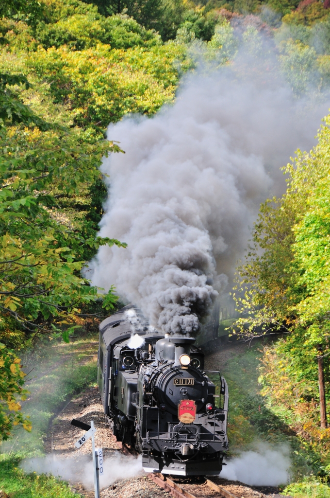 JR北海道 国鉄C11形蒸気機関車 SLニセコ号 C11 171 倶知安駅 鉄道フォト・写真 by ポン太さん | レイルラボ(RailLab)