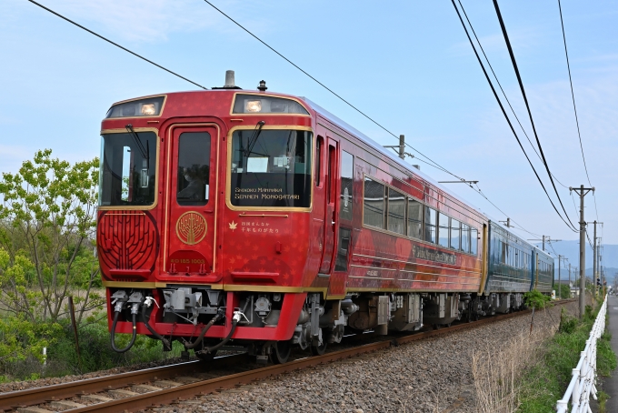 JR四国 国鉄キハ185系気動車 四国まんなか千年ものがたり キロ185-1003 琴平駅 鉄道フォト・写真 by ポン太さん | レイルラボ(RailLab)