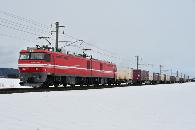 JR貨物EH800形電気機関車 EH800-12 油川駅 鉄道フォト・写真 by ポン太さん | レイルラボ(RailLab)