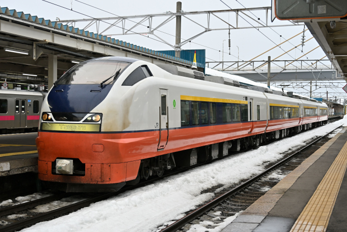 JR東日本E751系電車 つがる クロハE750-1 青森駅 (JR) 鉄道フォト・写真 by ポン太さん | レイルラボ(RailLab)