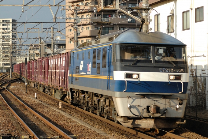 JR貨物EF210形電気機関車 EF210-308 大府駅 鉄道フォト・写真 by マンボーグレイさん | レイルラボ(RailLab)