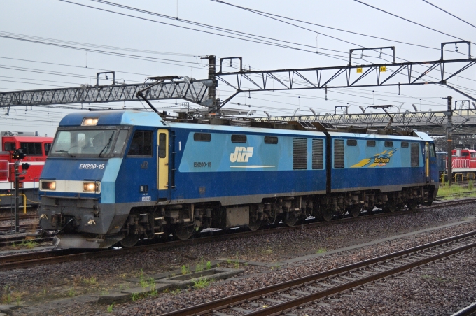 JR貨物EH200形電気機関車 EH200-15 稲沢駅 鉄道フォト・写真 by マンボーグレイさん | レイルラボ(RailLab)