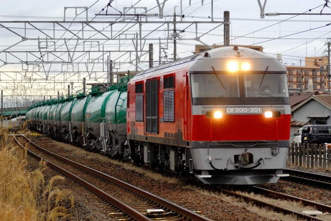 JR貨物 DF200 DF200-201 弥富駅 (JR) 鉄道フォト・写真 by マンボーグレイさん | レイルラボ(RailLab)